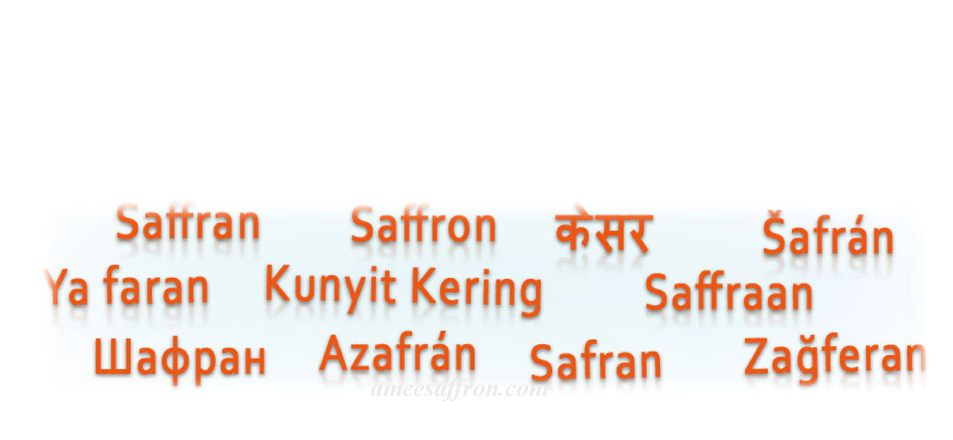 What is Saffron ? – Amee Kesar